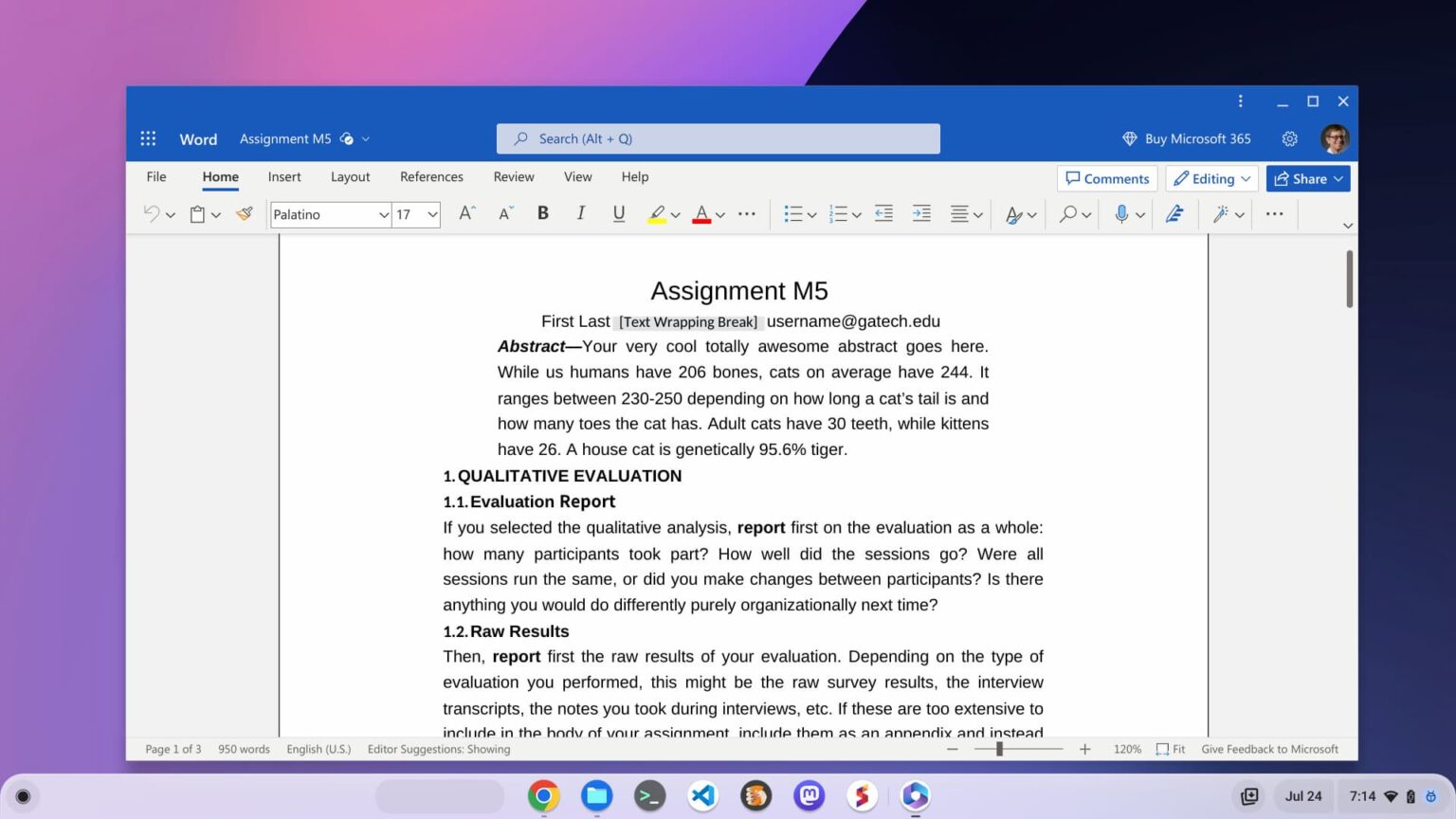 First look at the new Microsoft 365 Chromebook integration